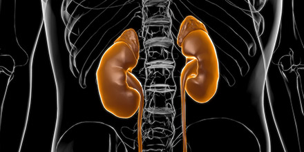 LDI and Monogram Health Launch $2.5 Million Initiative - Penn LDI